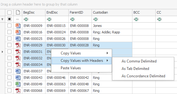 Copying Values | ReadySuite® | Load File Tool